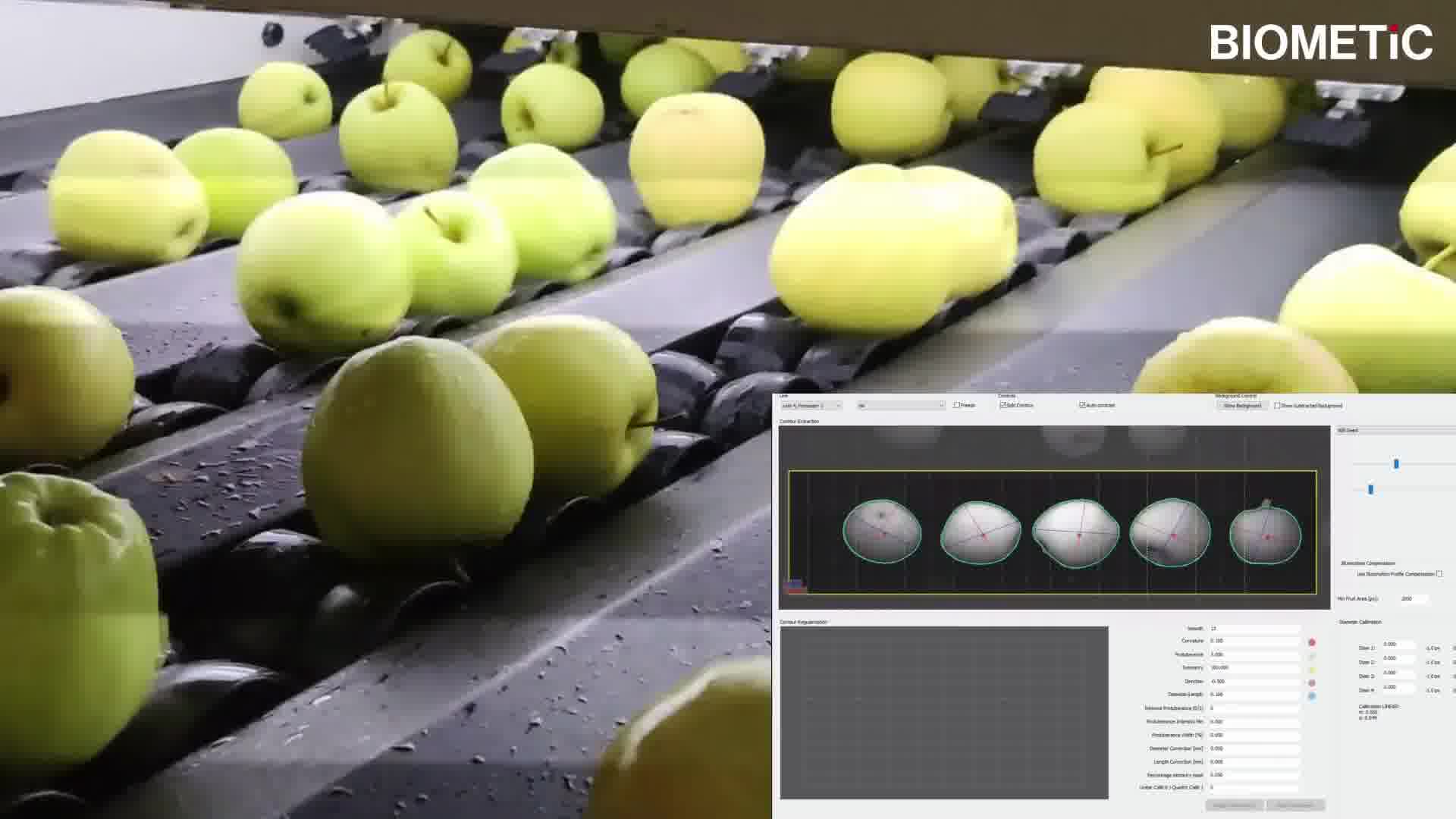 The Fastest and Most Accurate Apple Sorting Solution - BIOMETiC