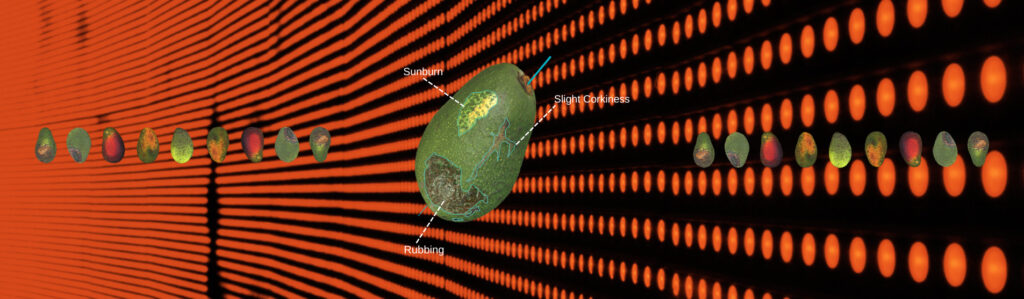 3D X-ray Inspection for Food Safety and Fruit Quality | BIOMETiC