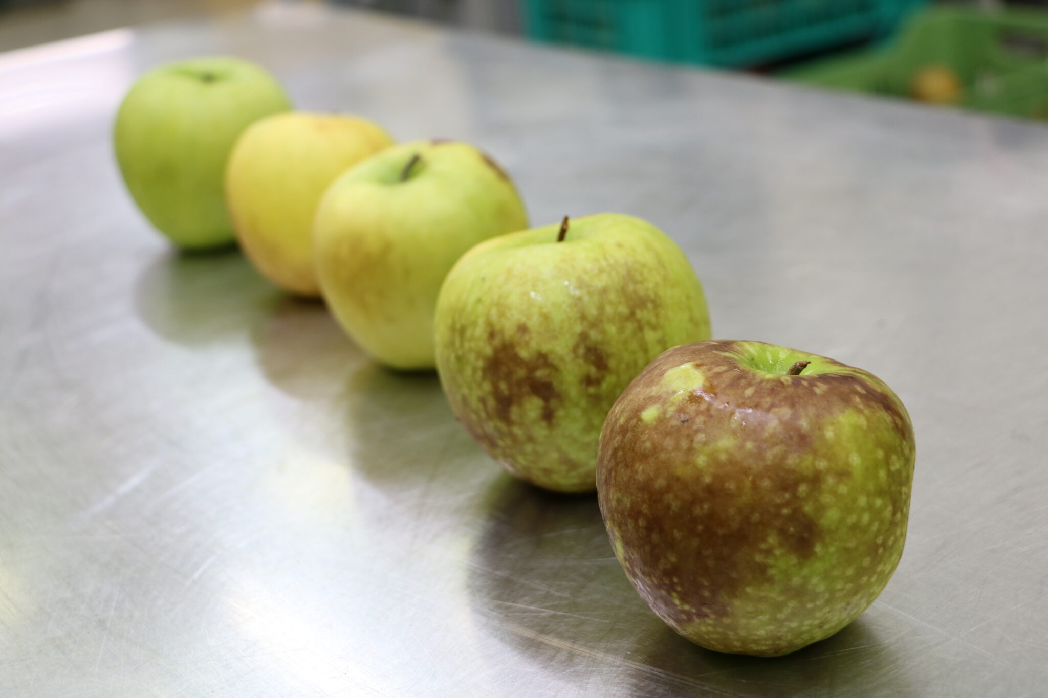 3D X-ray Inspection for Food Safety and Fruit Quality | BIOMETiC