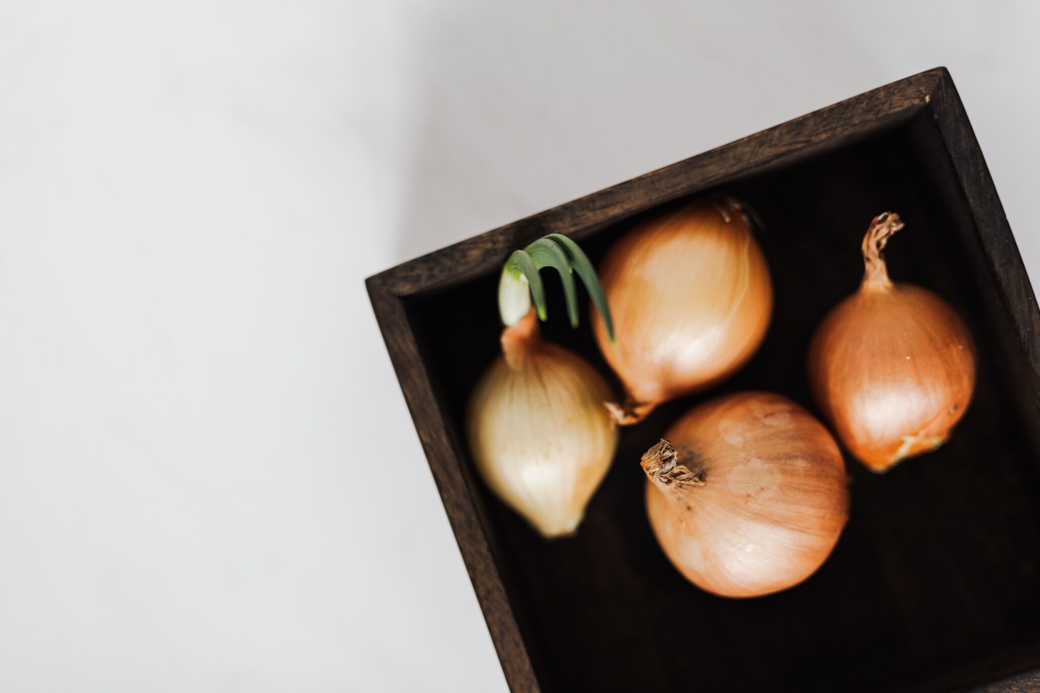 Top Onion Grading Solutions for Maximum Quality | BIOMETiC