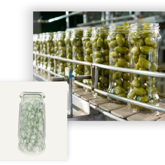 Biometic | Case Studies of Food Industries